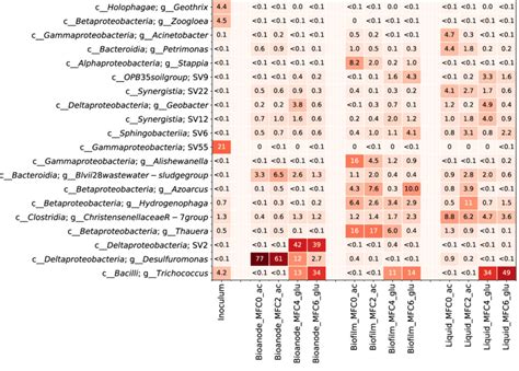 Heatmap Showing The Percentage Relative Abundance Of The Most Abundant