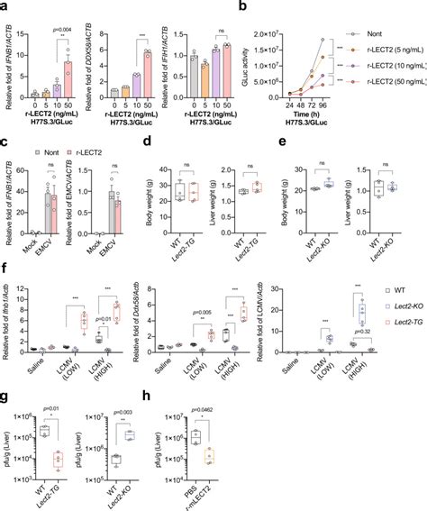 Leukocyte Cell Derived Chemotaxin 2 Is An Antiviral Regulator Acting