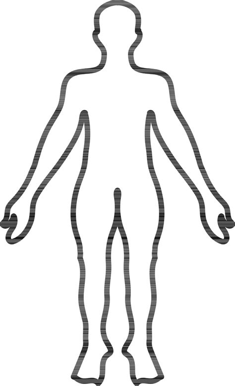 Male Body Outline