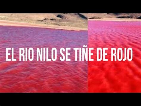 El R O Nilo Se Ti E De Color Sangre Una Advertencia Cristo