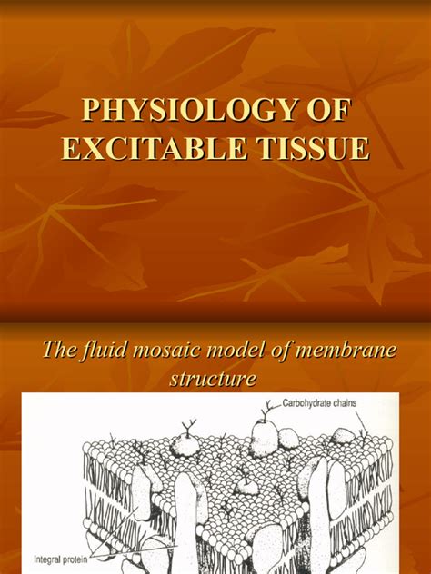 41 Physiology Of Excitable Tissue Pdf Depolarization Membrane