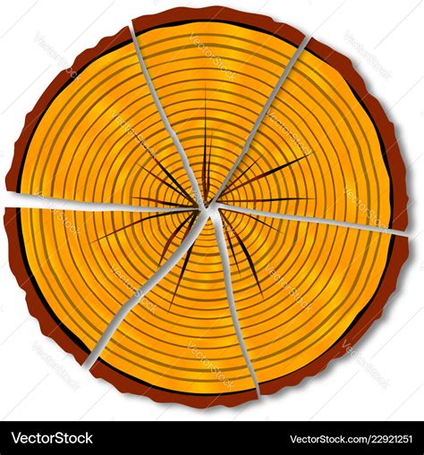 Split Log Royalty Free Vector Image Vectorstock