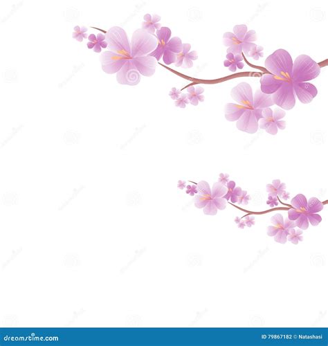 花设计 佐仓分支在白色背景隔绝了 Apple结构树花 樱花 传染媒介eps 10 Cmyk 向量例证 插画 包括有 任意 查出