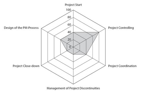 Project Audit And Quality Assessment Models The Assignment Helpline