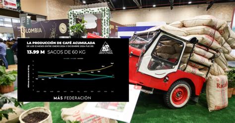 Así Le Fue A Colombia Con La Producción De Café En El 2024 Se