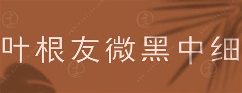 叶根友微黑中细怎么用叶根友微黑中细好不好 使用技巧 ZOL软件百科