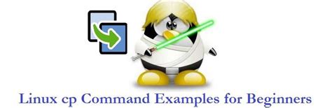 16 Useful Cp Command Examples For Linux Beginners LPI Central