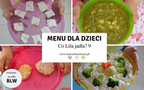 Zdrowe Przepisy Dla Dzieci Blw Co Lila Jadła 9 Lady Och Mistrzyni