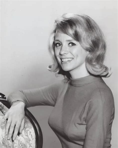 Inger Stevens Inger Stevens Tv Shows Picture Click Quiz By