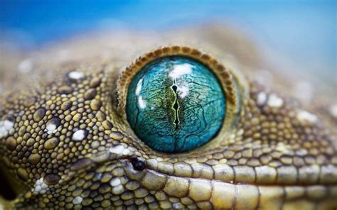 You Will Admire These 21 Photos Of The Beauty And The Complexity Of