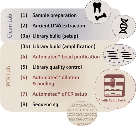 Semi Automated Purification Of Ngs Libraries