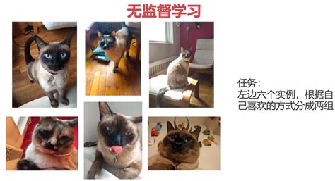 机器学习之聚类 2d数据类别划分 Csdn博客