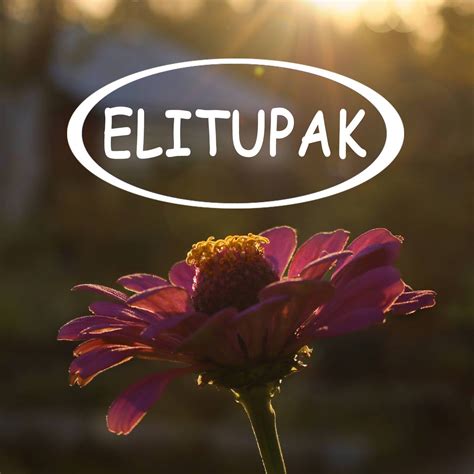 Элитупак - Гипермаркет товаров для флористики и хобби | Moscow