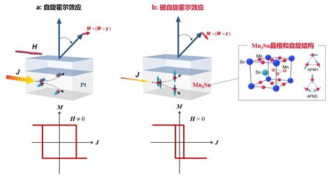 丘学鹏教授团队在自然通讯发表拓扑反铁磁自旋电子器件新成果 同济大学新闻网
