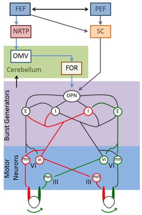 Nasa Courses For Doctors