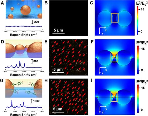 A Schematic And Sers Spectrum Of Aunps In Water Phase B The