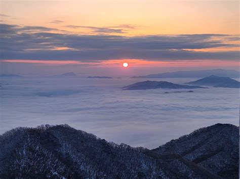 심석태의 2024년이 밝았습니다 많은 지인들이 새해 사진을 Sns에 올려주셨는데 오늘 받은 사진들 중에서 제일 눈에 띄는 걸 골라봤습니다 저와 함께 2020년에