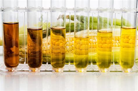 玉米在白色背景上用试管生成乙醇生物燃料 包图企业站