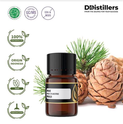 Jual Minyak Atsiri Pinus Pine Essential Oil 100 Pure 2 Ml