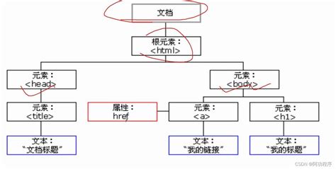 Javascript中的文档对象模型（dom）dom结构包含js文件吗 Csdn博客