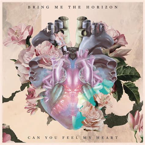 Can You Feel My Heart Youtube Music
