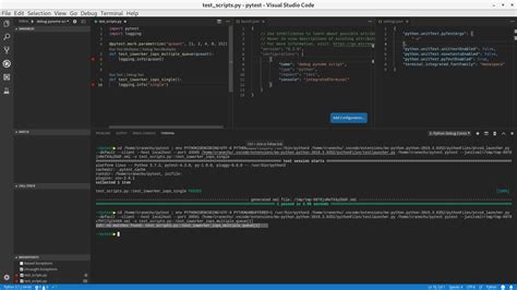 Escape Pytest In Zsh Terminal When Debuging The Tests · Issue 4911 · Microsoftvscode Python