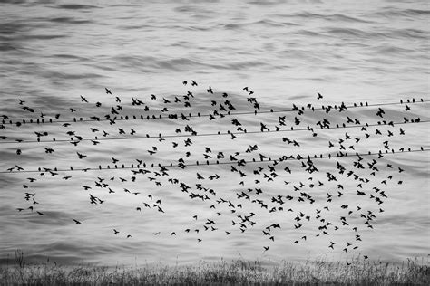 Breaking The Habit Author Hristo Stefanov Ico10 Photo Forum