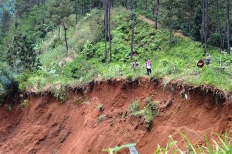 Rawan Longsor Pemukiman Warga Di Bawah Bukit Tidak Layak Huni