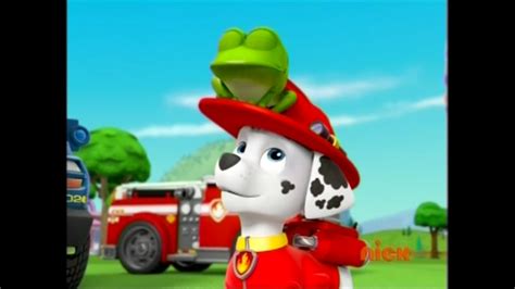 Marshallgallerypups Save A Flying Frog Paw Patrol Wiki Fandom
