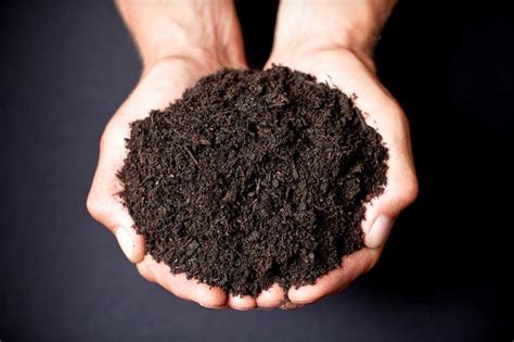 Soil Composition And 10 Methods For Identifying Soil Fertility Humic