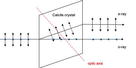 Birefringence Mono Mole