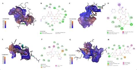 3clpro And Fortunellin Molecular Docking 2d And 3d Images A B Ace2