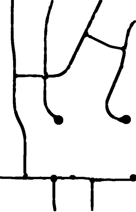 Intermediate Steps Of The Curvilinear Structure Reconstruction For A