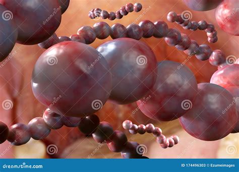 Strep Throat Streptococcus Pneumonia Stock Illustration Illustration