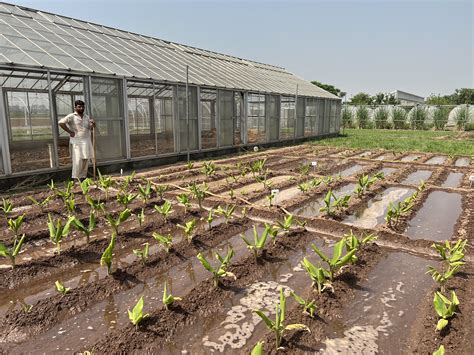 Pakistan National Genebank Bold Project