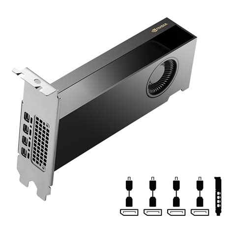 Nvidia Rtx 2000 Ada Generation Professional Gpu
