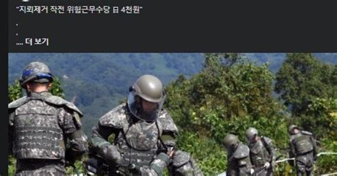 8개월 동안 장병 71명 지뢰제거 위험수당 미지급한 육군