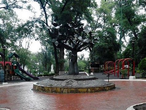 Ubicaci N Y Clima De Saltillo