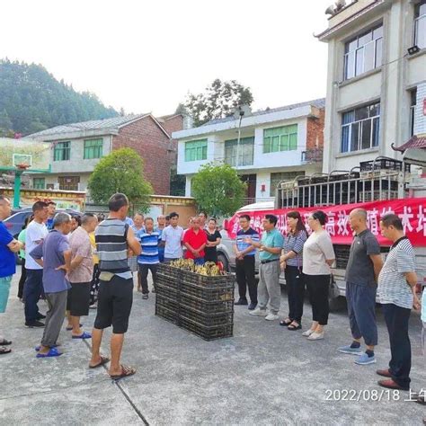 省级揭榜挂帅团队到三穗开展三穗鸭高效养殖技术培训 款场乡 进行 杨胜林