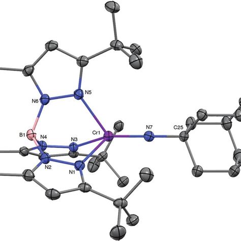 The Molecular Structure Of Tp TBu Me CrQNAd 2 30 Probability Level