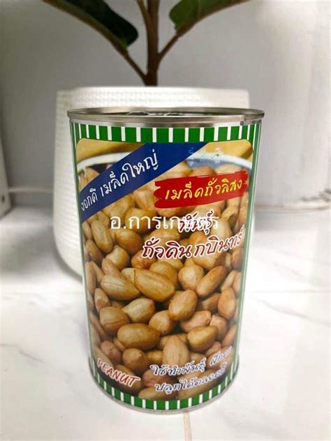 เมล็ดถั่วลิสง ขนาด 500กรัม พันธุ์กบินทร์ ตราปลาทอง งอกดี เมล็ดใหญ่ ถั่วลิสง Th