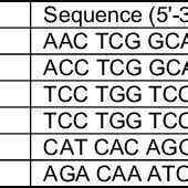 Specifications For The SCAR Primers And The 18S RRNA Gene Primer Used Download Table