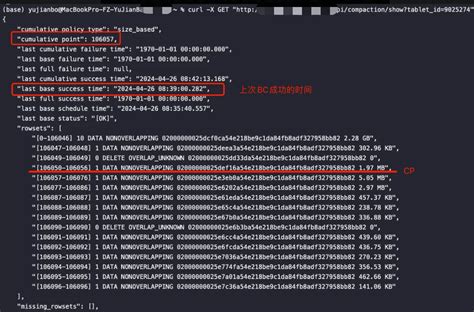 【apache Doris】compaction 原理 实践全析doris Compaction Csdn博客
