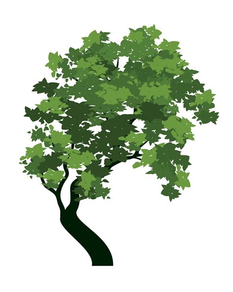 Green Tree With Leaves Vector Outline Illustration Plant In Garden 21685112 Vector Art At