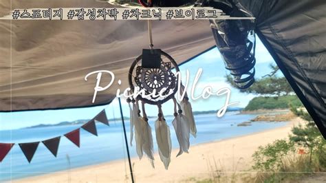 일상브이로그 캠핑용품 구매 후 떠나는 감성차박 강아지와 함께 떠나는 차크닉캠핑용품소개 Youtube
