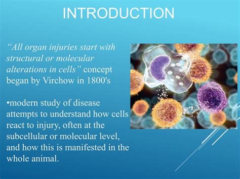 Irreversible Cell I Njury Pptx