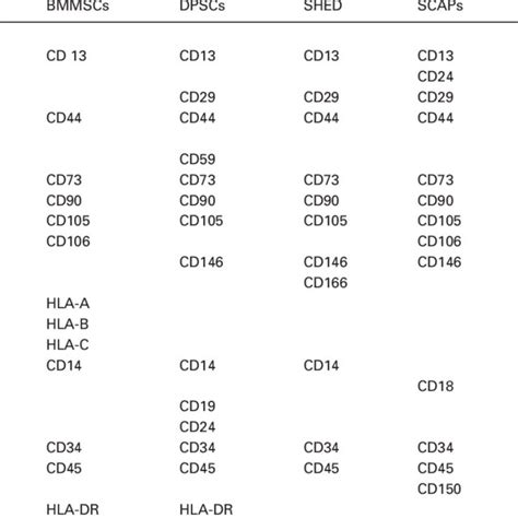 Surface Marker Expression In Bone Marrow And Dental Stem Cells