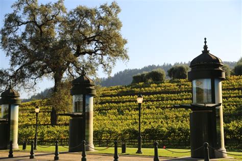 Inglenook Estate The Napa Wine Project