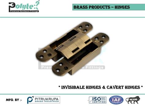 Polished Brass Invisible Covert Hinges Thickness 50 60mm Length