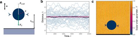 Figure 9 From Entangled Nematic Disclinations Using Multi Particle